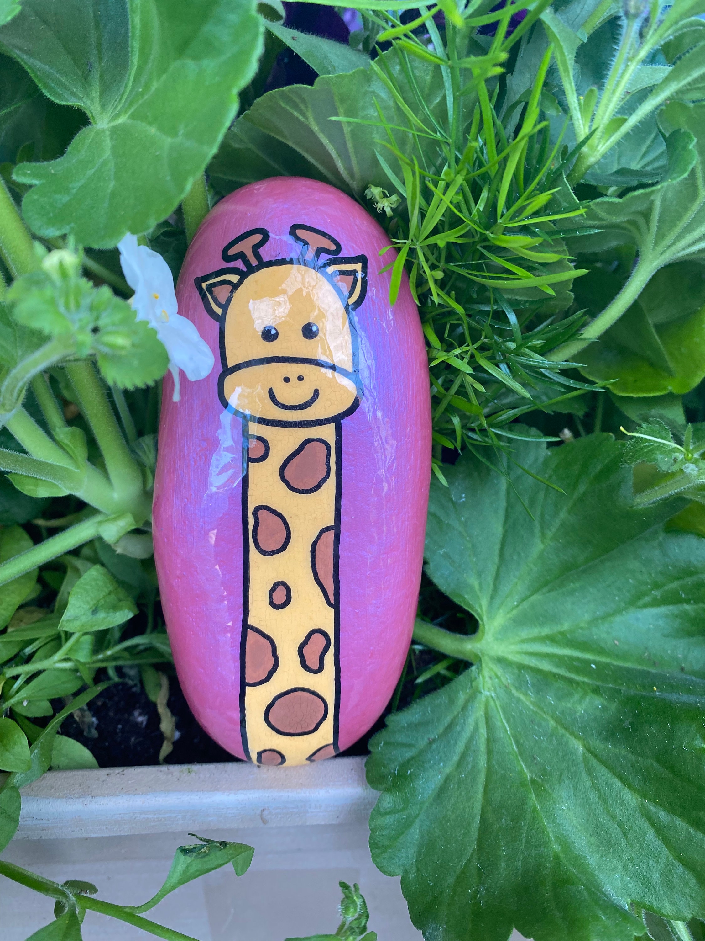 Hand Painted Colourful Giraffe Stone Holographic Colour Changing ...