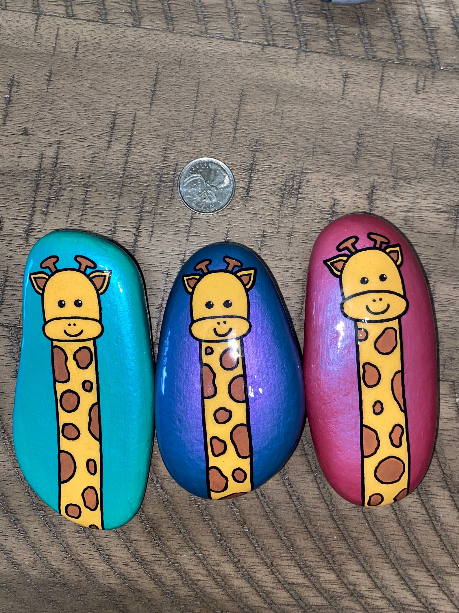 Hand Painted Colourful Giraffe Stone Holographic Colour Changing ...