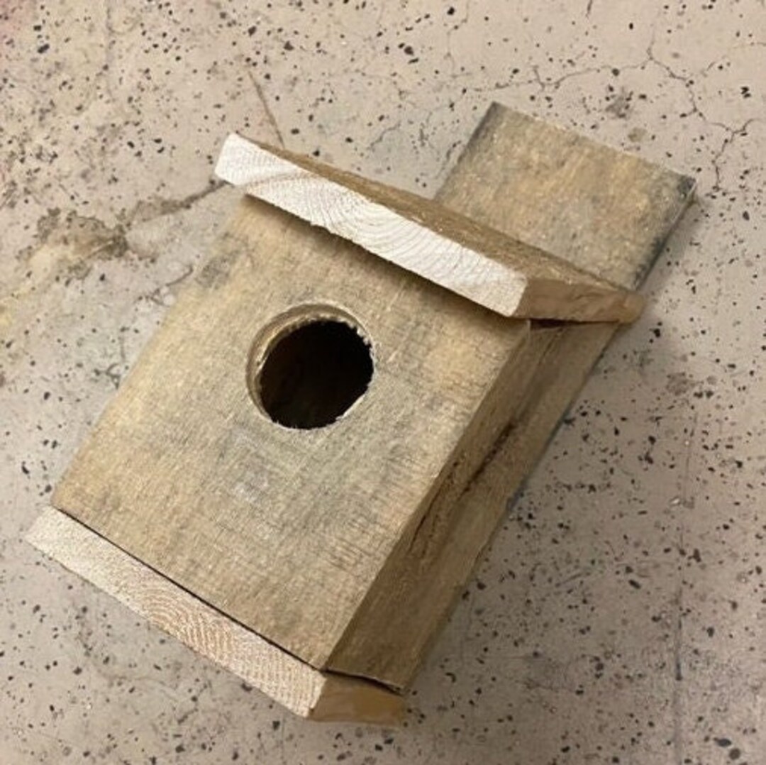 The Rustic Bird House Kit - Etsy