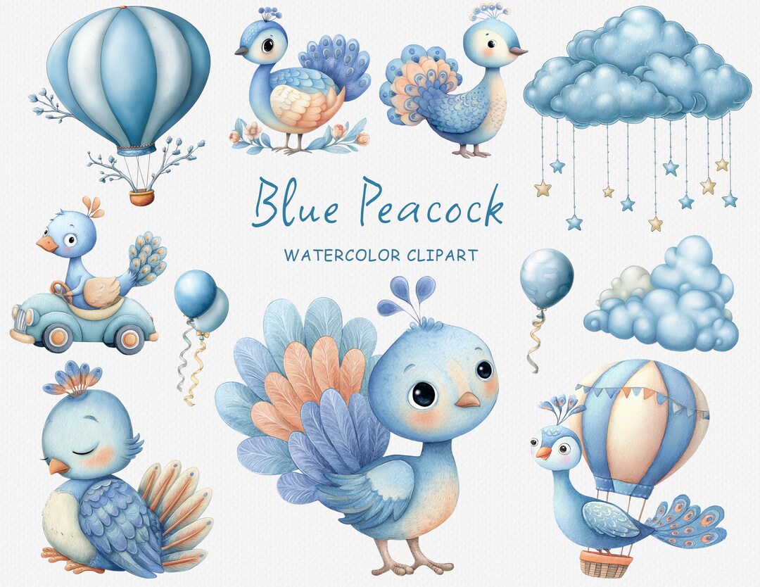 Blue Peacock Watercolor Clipart, 24 PNG Transparent, Cute Bird Animal ...