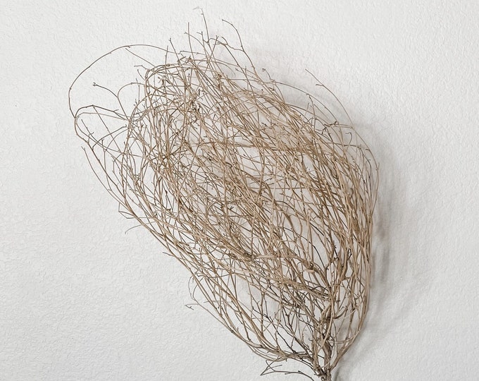 Tumbleweed - Etsy