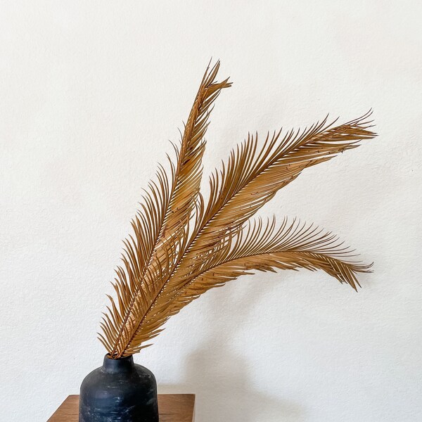 Dried Palm Leaves - Etsy