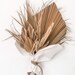 Dried Palm Frond Bouquet - Etsy