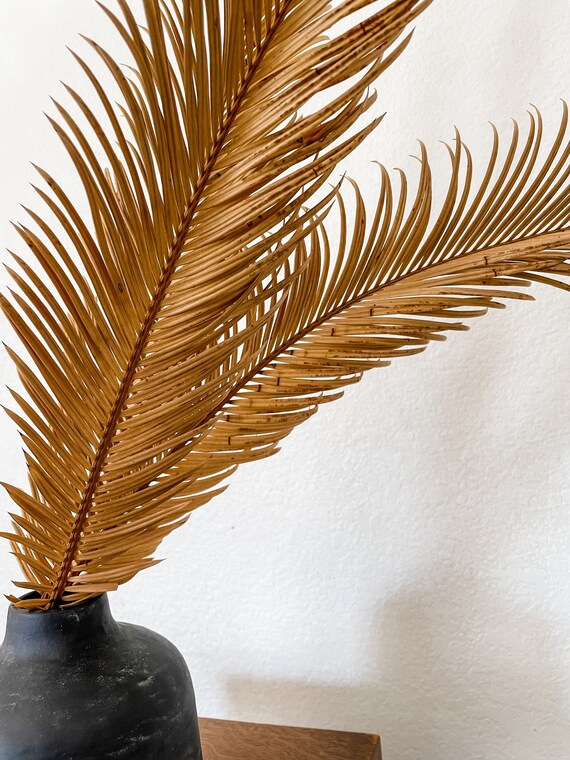 Sago Palm Frond Dry Palm Leaves Palm Springs Palm | Etsy