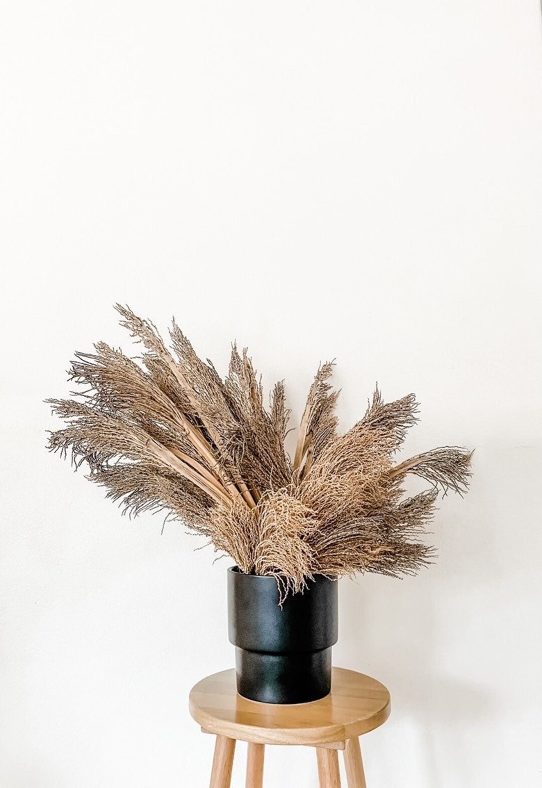 Seed Stem Bloom Dry Branch Bloom 3 Stems per Order - Etsy