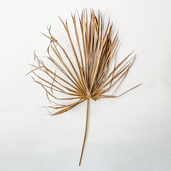 Painted Palm Fronds - Etsy