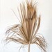 Dried Palm Frond Bouquet - Etsy
