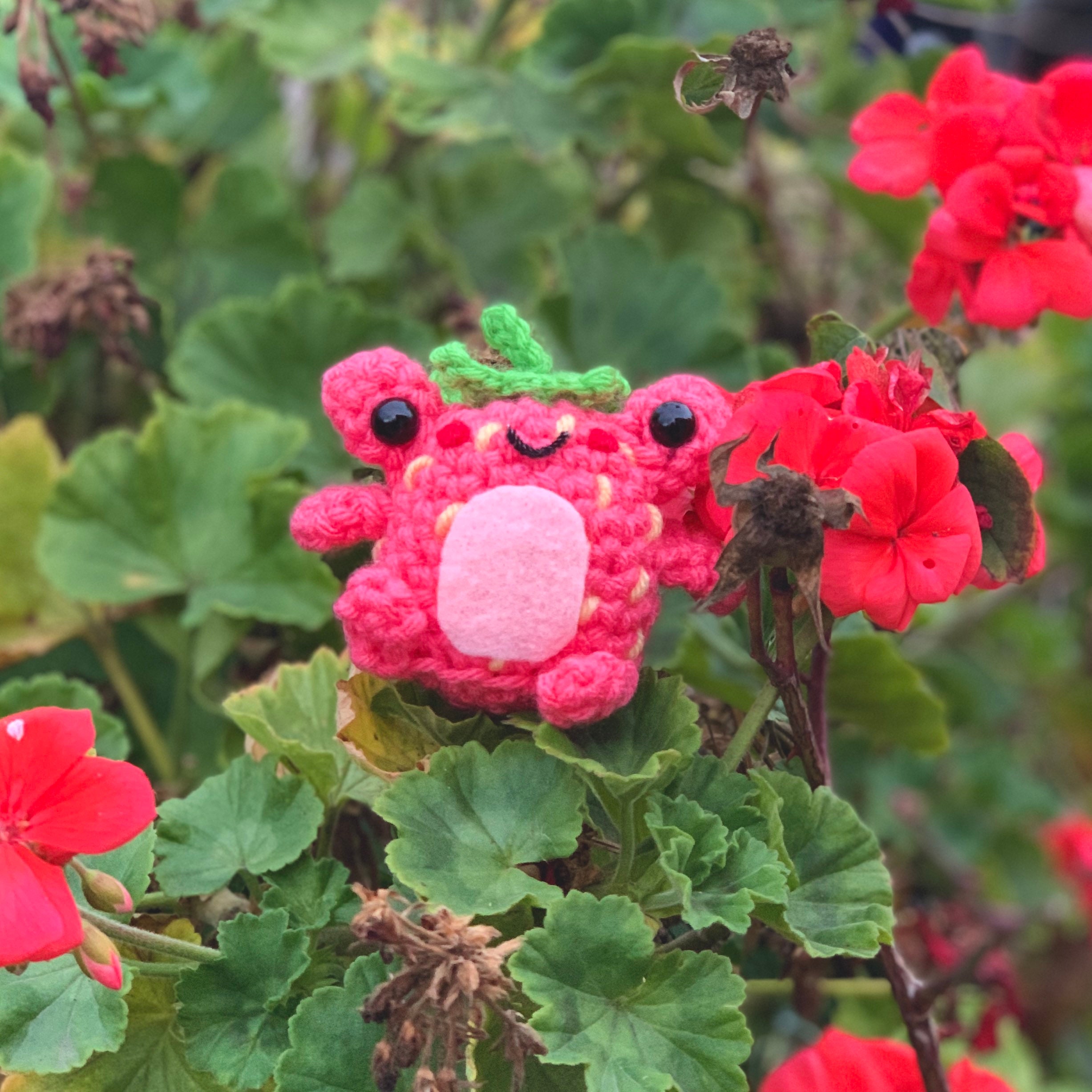 Razzie the Raspberry Frog Amigurumi Plush - Etsy