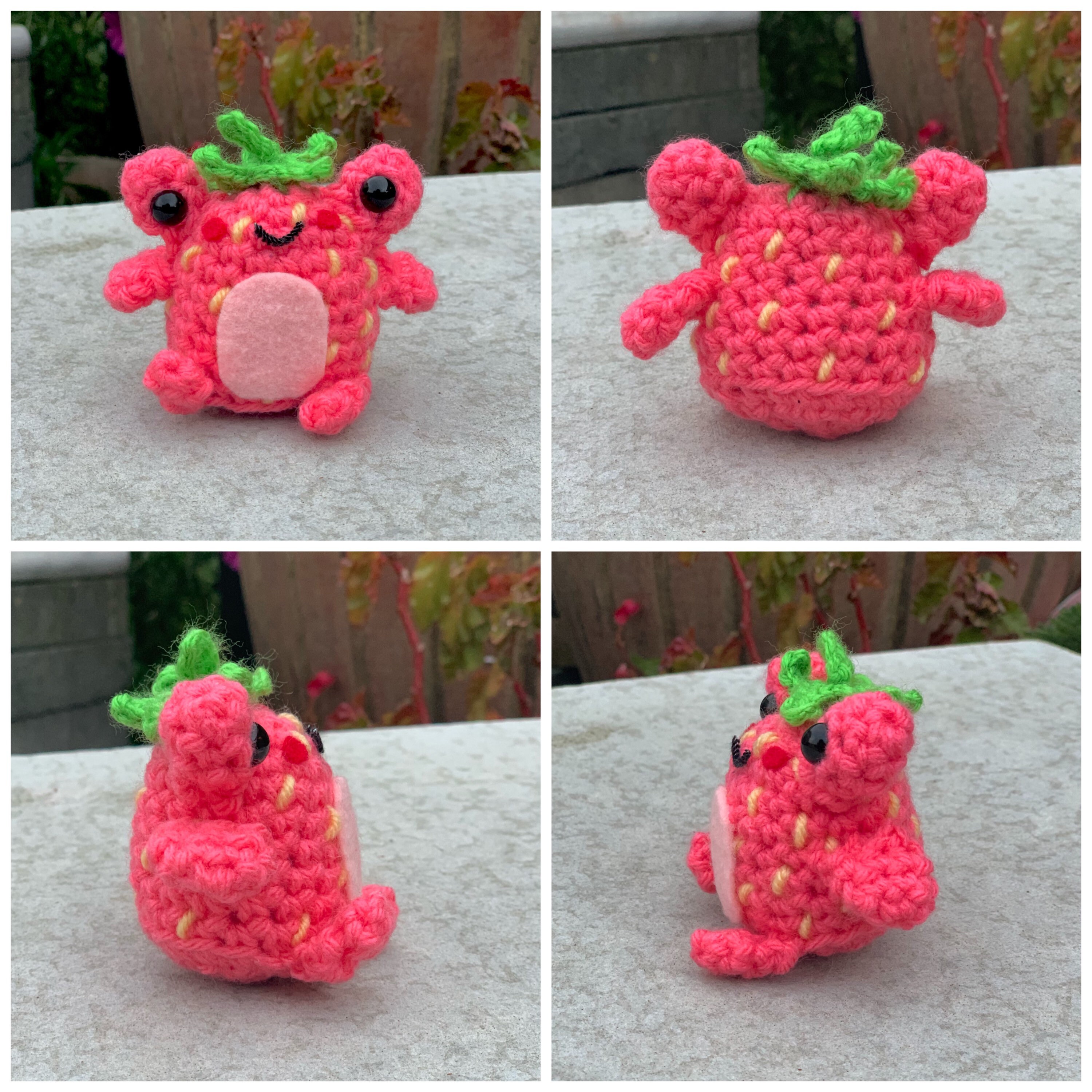 Razzie the Raspberry Frog Amigurumi Plush - Etsy