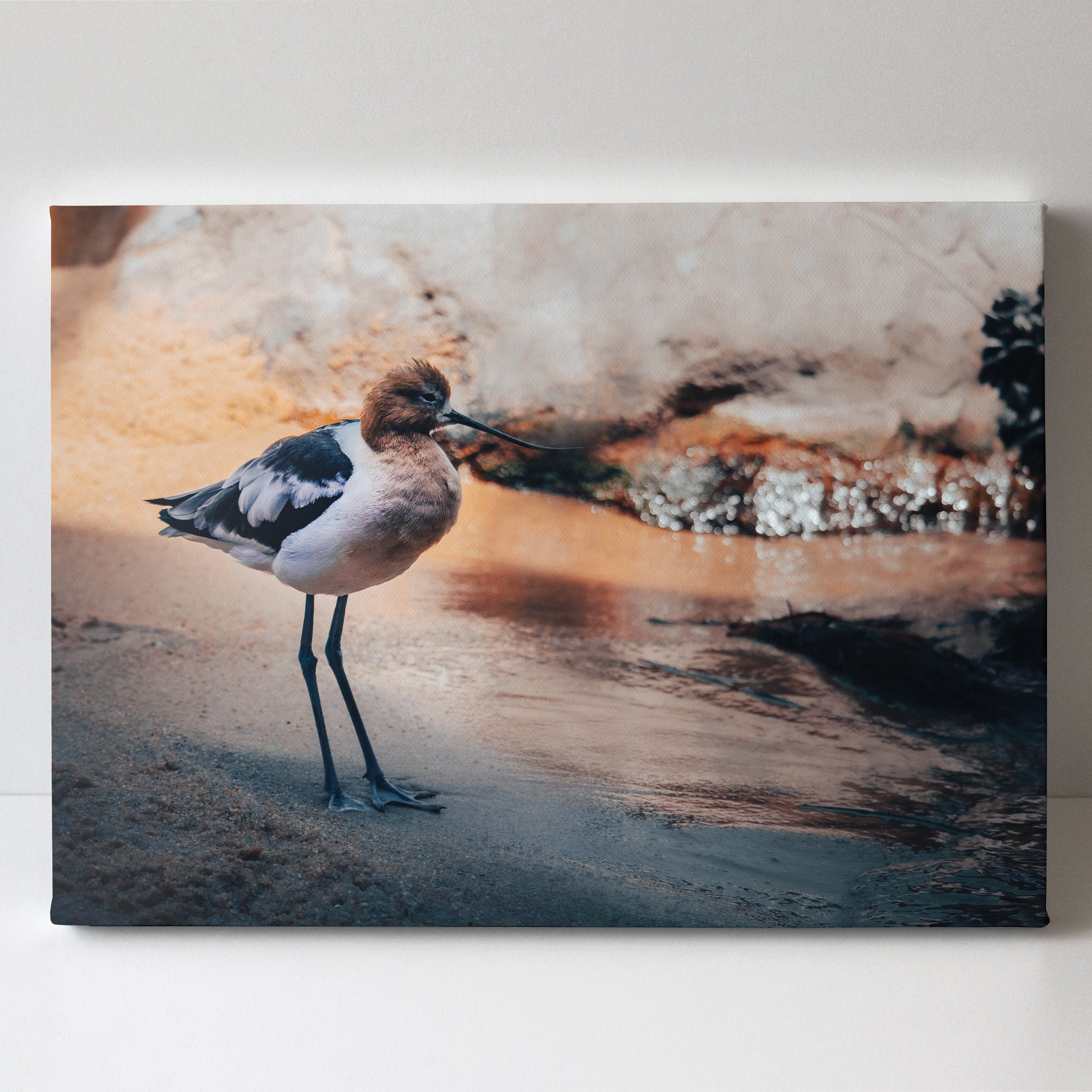 Coastal Bird Canvas Wall Art Avocet Sunset Impresión | Etsy