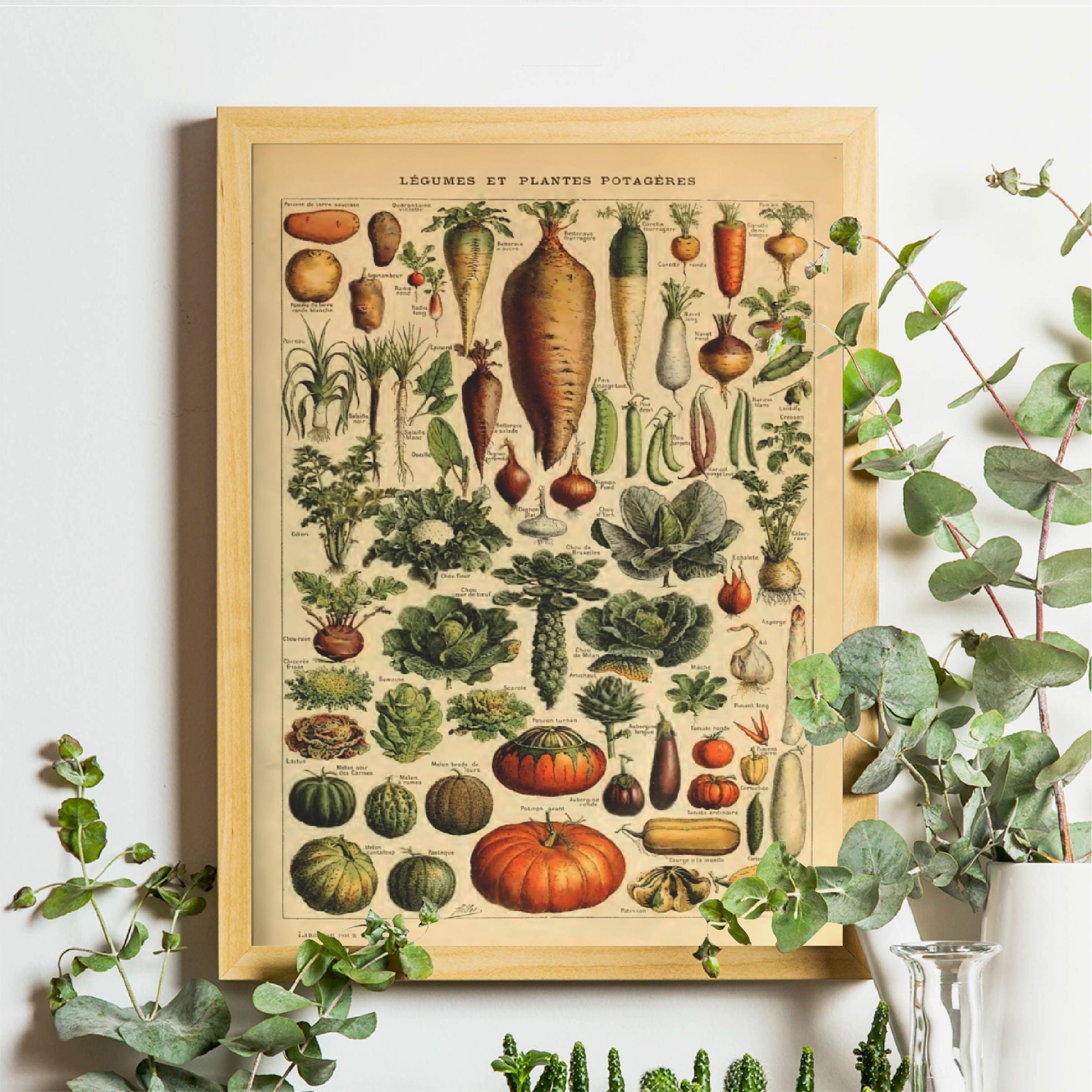 Vintage Vegetable Prints