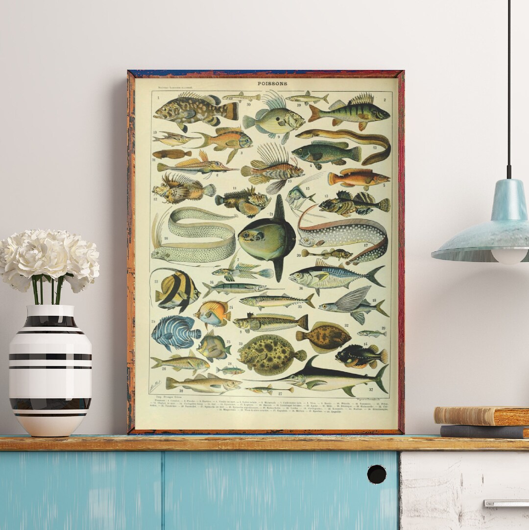 Fisch Poster, Maritimes Meer Leben Druck, Adolphe Millot, Poissons ...