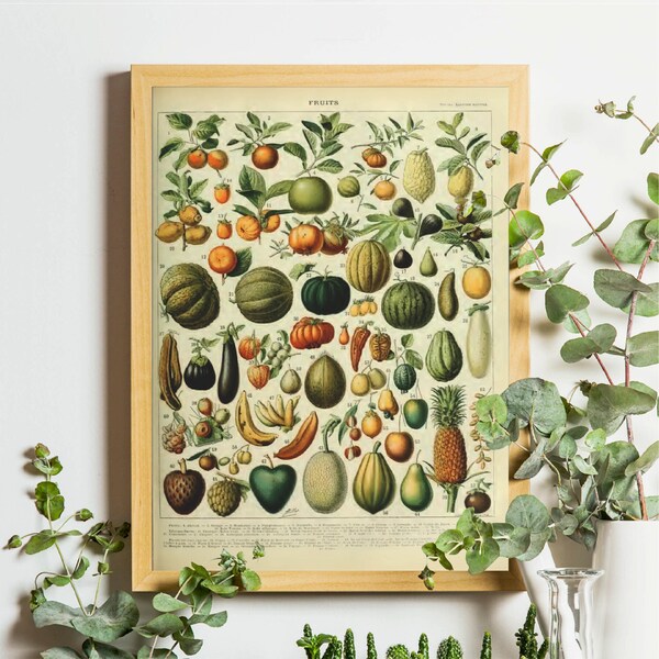 Biology Wall Art - Etsy