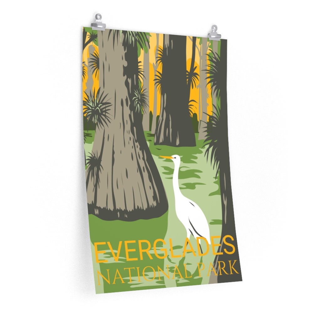 Everglades National Park Poster Swamp Poster Florida Print | Etsy