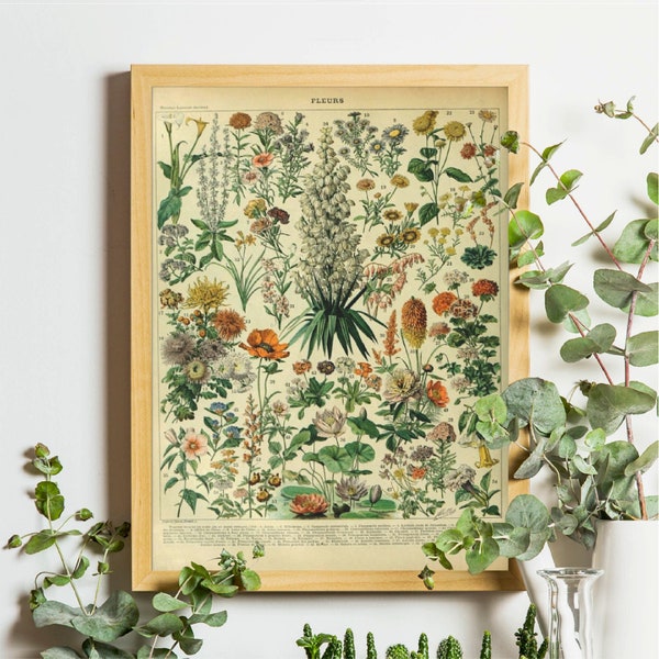 Aesthetic Science Poster - Etsy