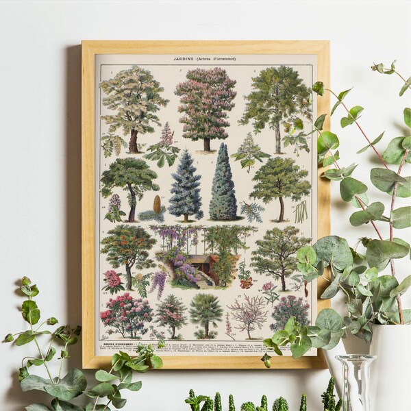 Tree Poster Etsy