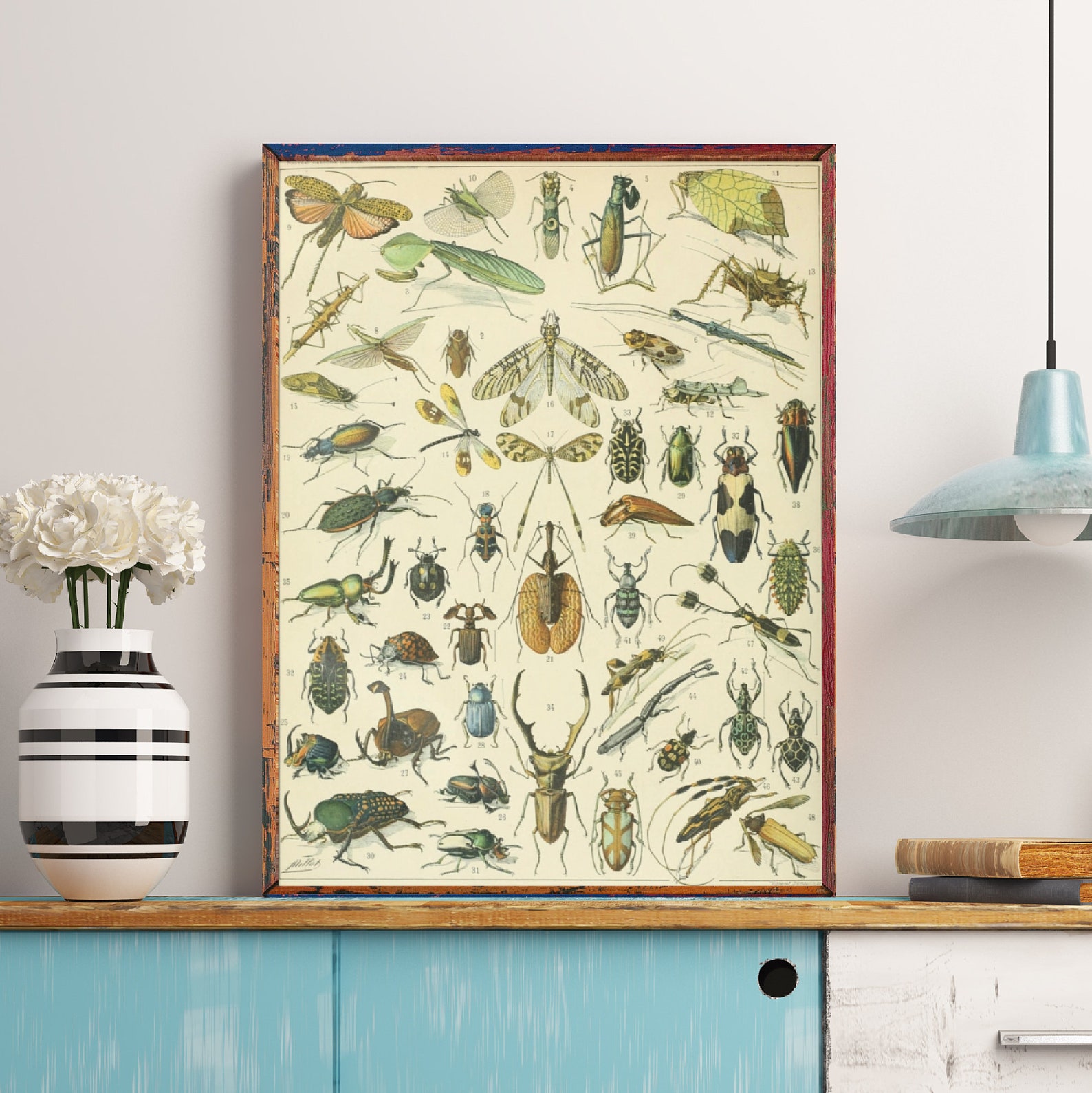 French Insect Chart Educational Poster Adolphe Millot Print | Etsy