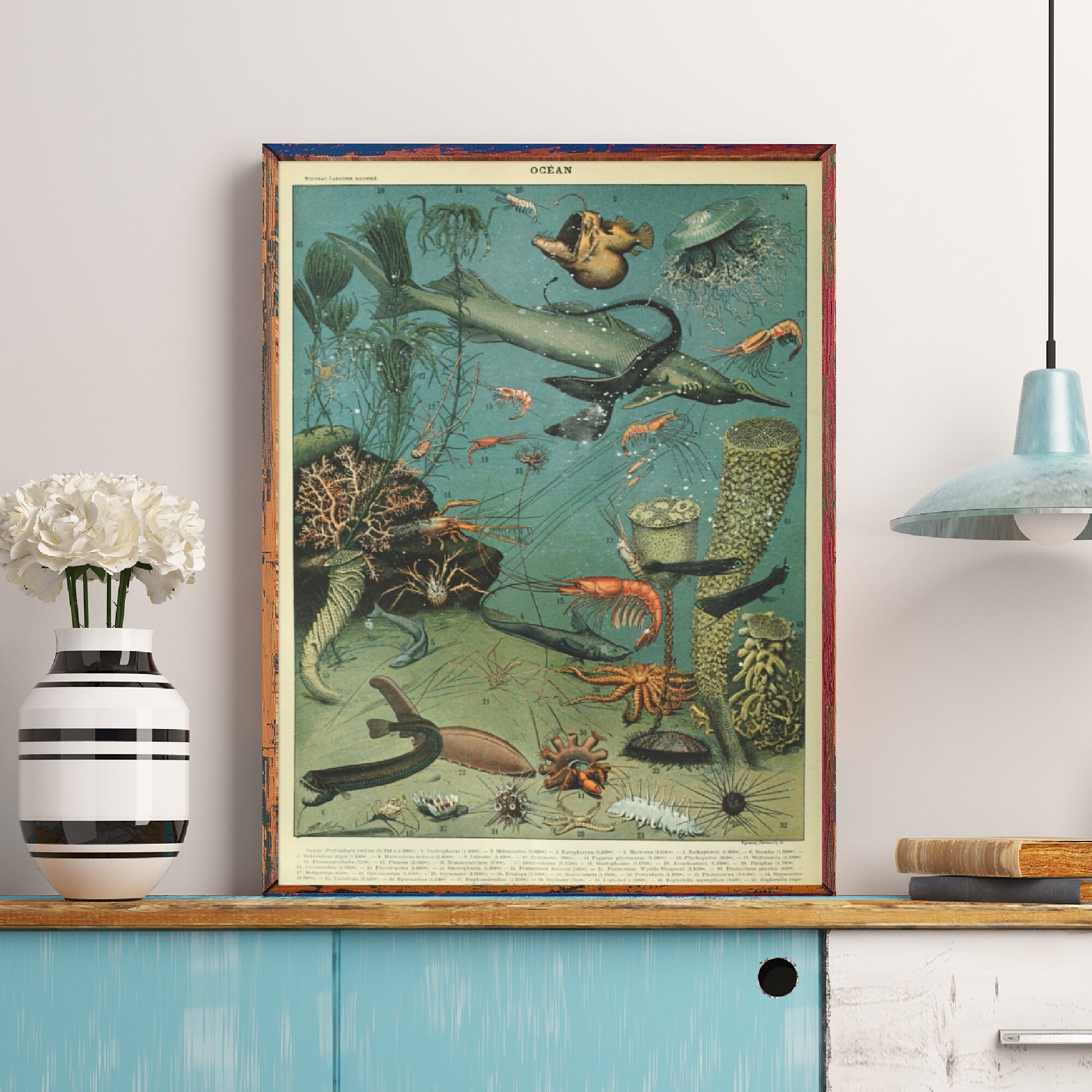 Adolphe Millot Ocean Print Vintage French Poster Sea Life | Etsy