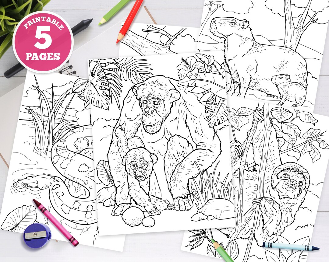 5 Printable Digital Coloring Pages for Kids, Jungle Animals, Unique ...