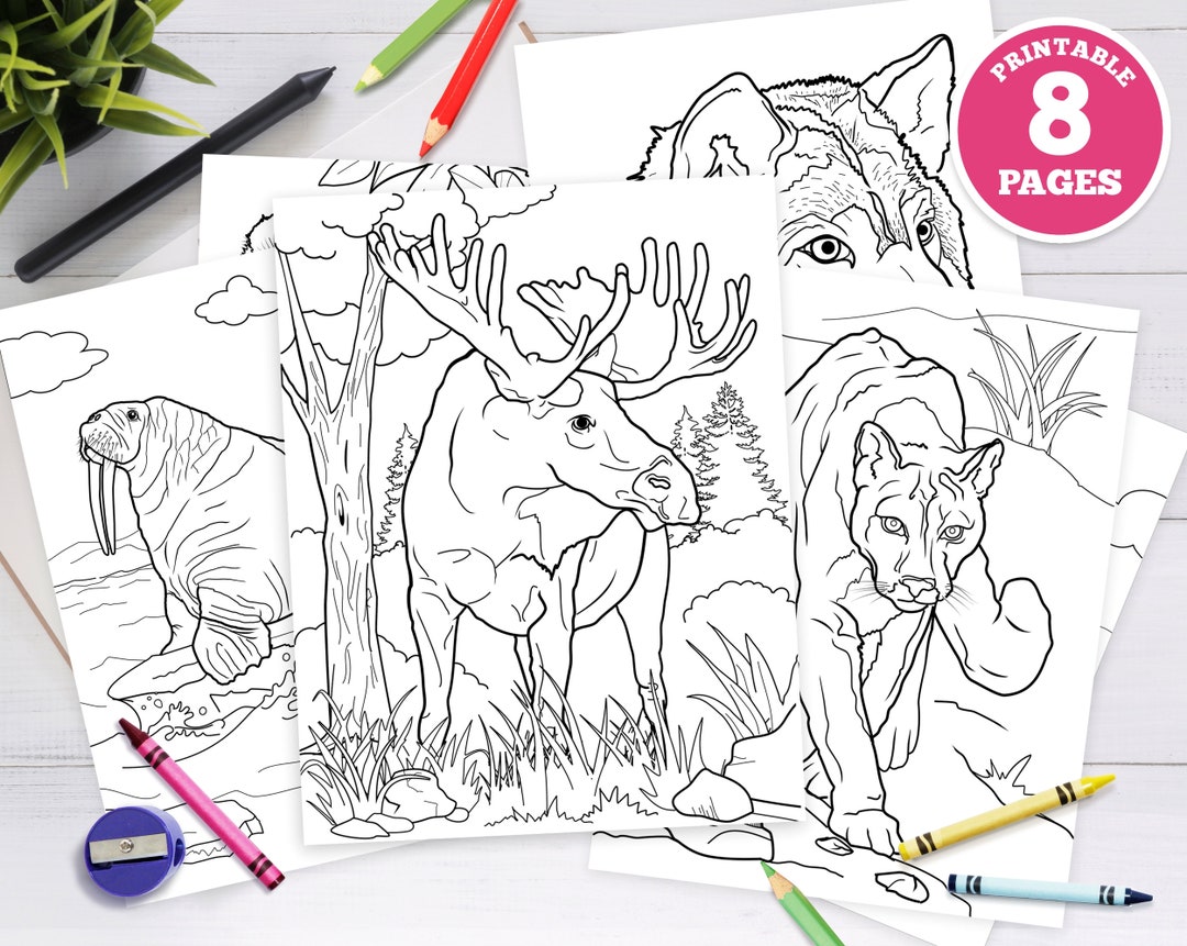 8 Pack - Printable Digital Coloring Pages for Kids. Alaska Wild Animals ...