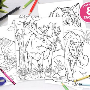 8 Pack - Printable Digital Coloring Pages for Kids. Alaska Wild Animals ...