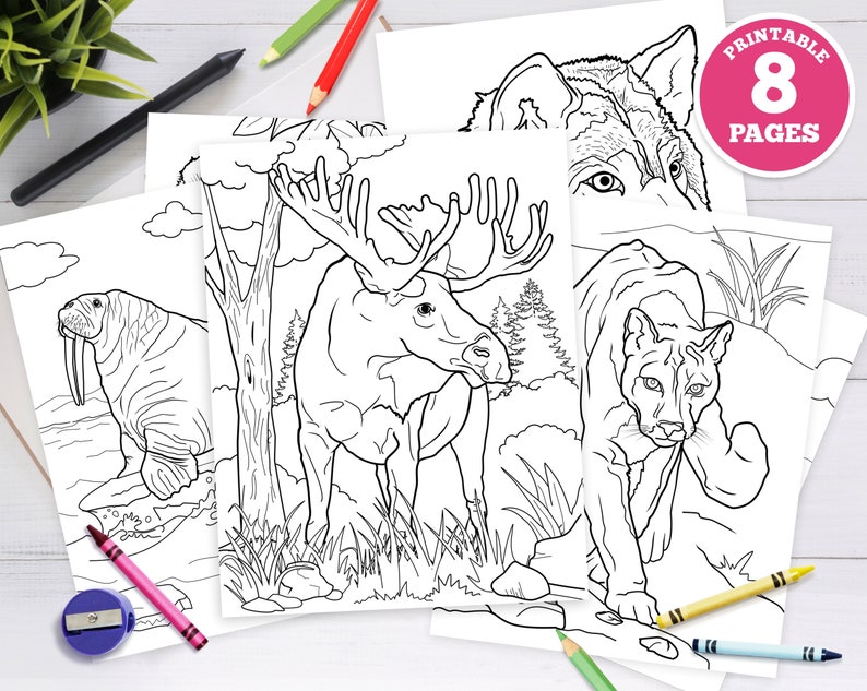 8 Pack - Printable Digital Coloring Pages for Kids. Alaska Wild Animals ...