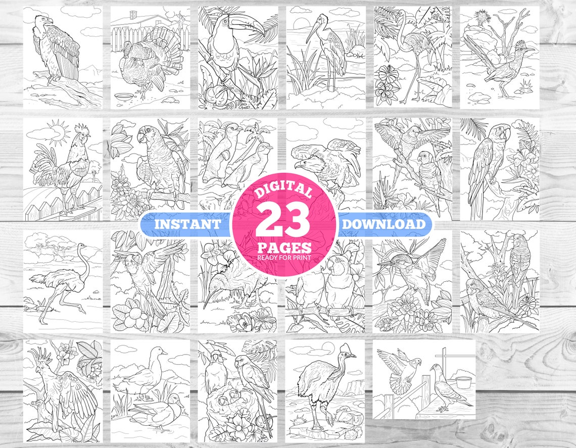 23 Digital Coloring Pages for Kids Exotic and Farm Birds, Parrots ...