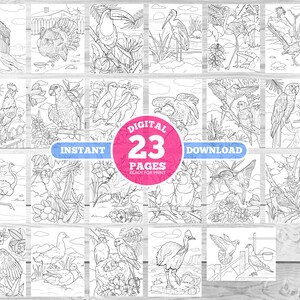 23 Digital Coloring Pages for Kids Exotic and Farm Birds, Parrots ...