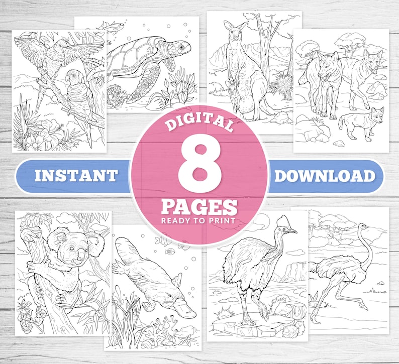 8 Pack Printable Digital Coloring Pages for Kids. Wild Animals of ...