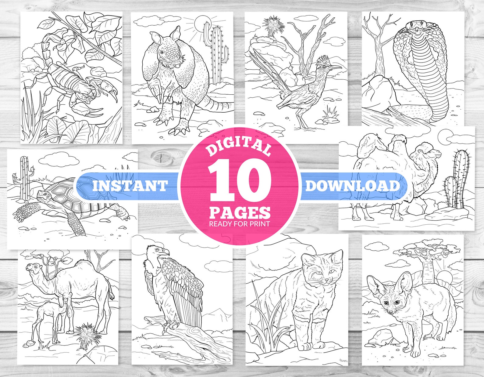 Desert Wild Animals Digital Coloring Pages, Snakes, Printable Pdf ...