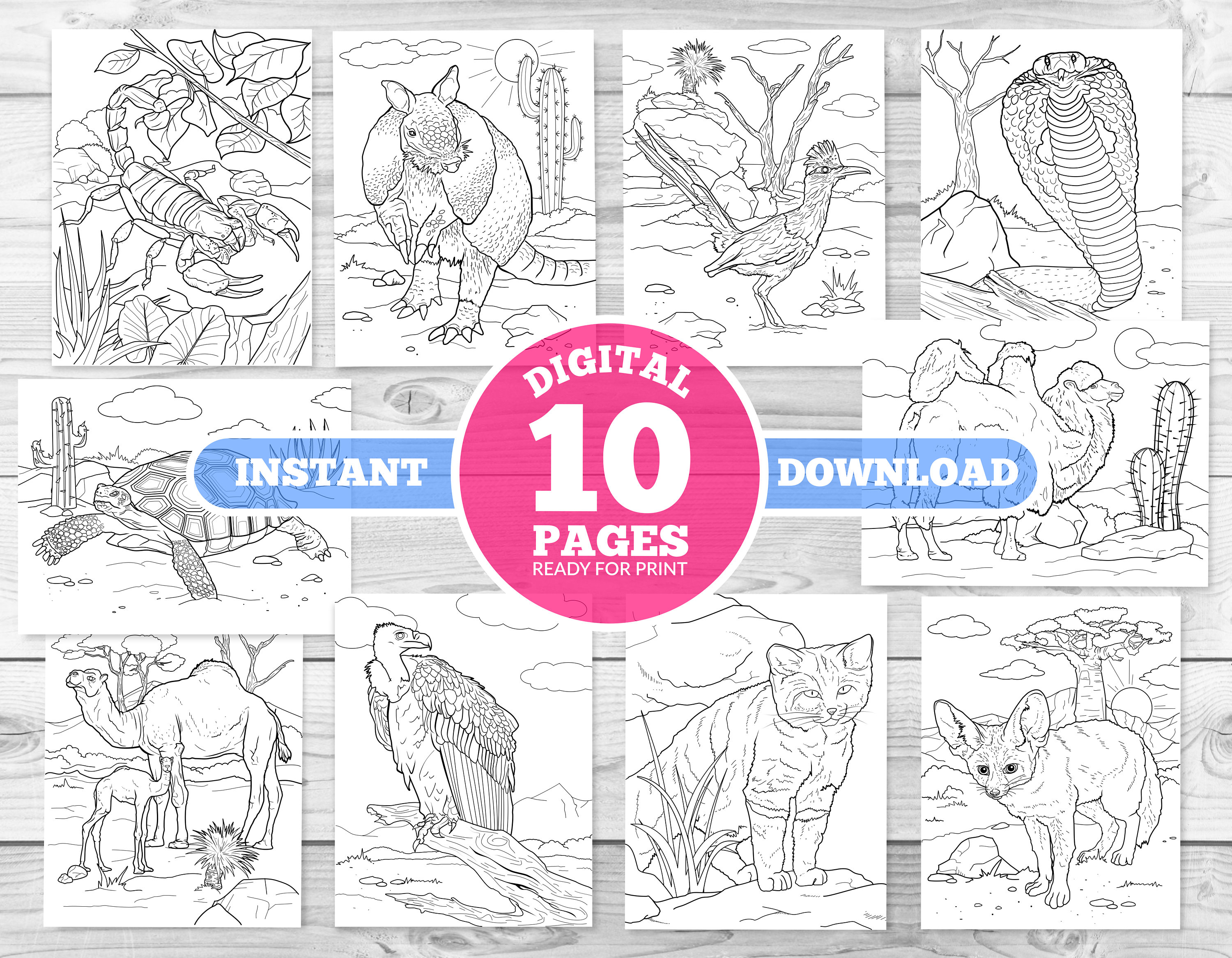 Desert Wild Animals Digital Coloring Pages, Snakes, Printable Pdf ...