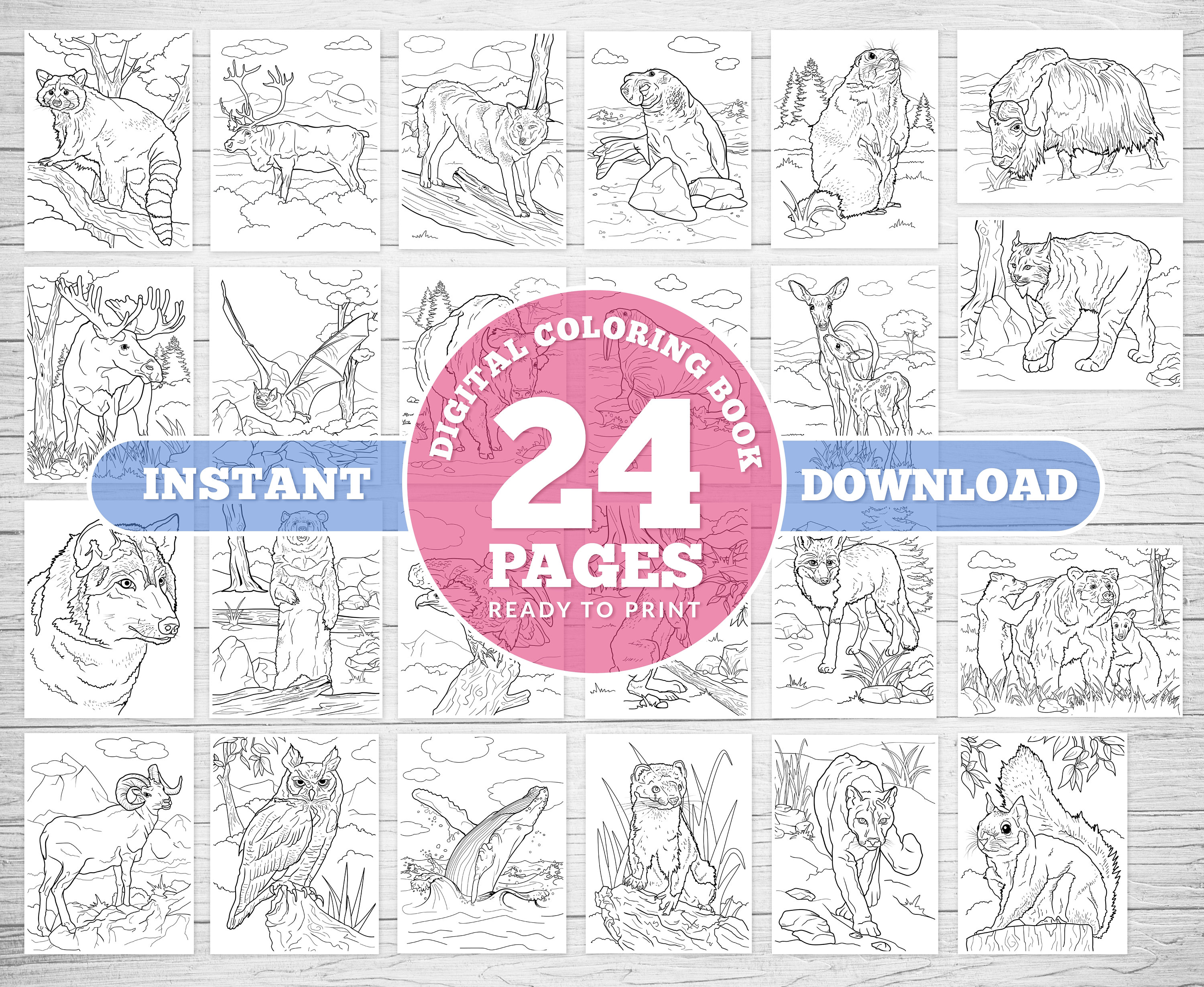 24 Printable Digital Coloring Pages for Kids. Alaskan Wild Animals ...