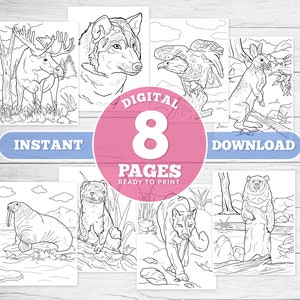 8 Pack - Printable Digital Coloring Pages for Kids. Alaska Wild Animals ...