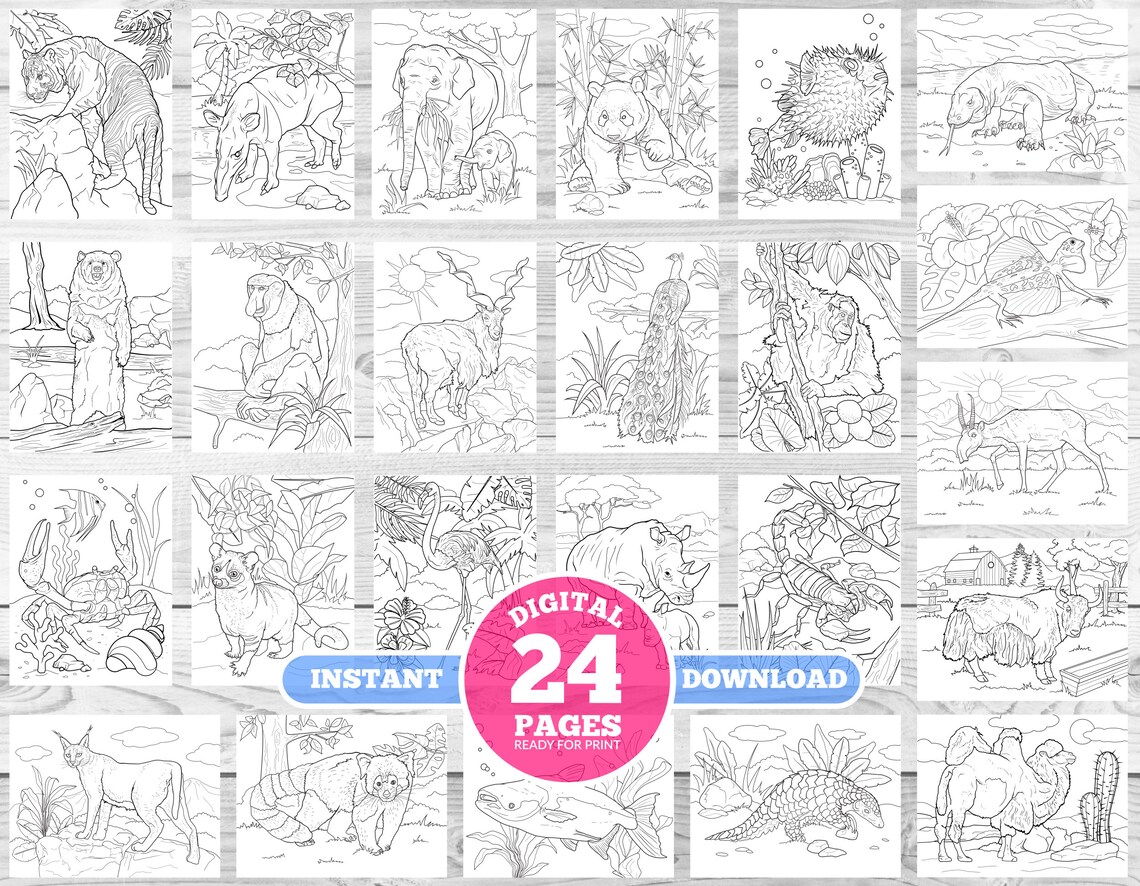 24 Digital Coloring Pages for Kids Asian Wild Animals , Tropical, Pdf ...