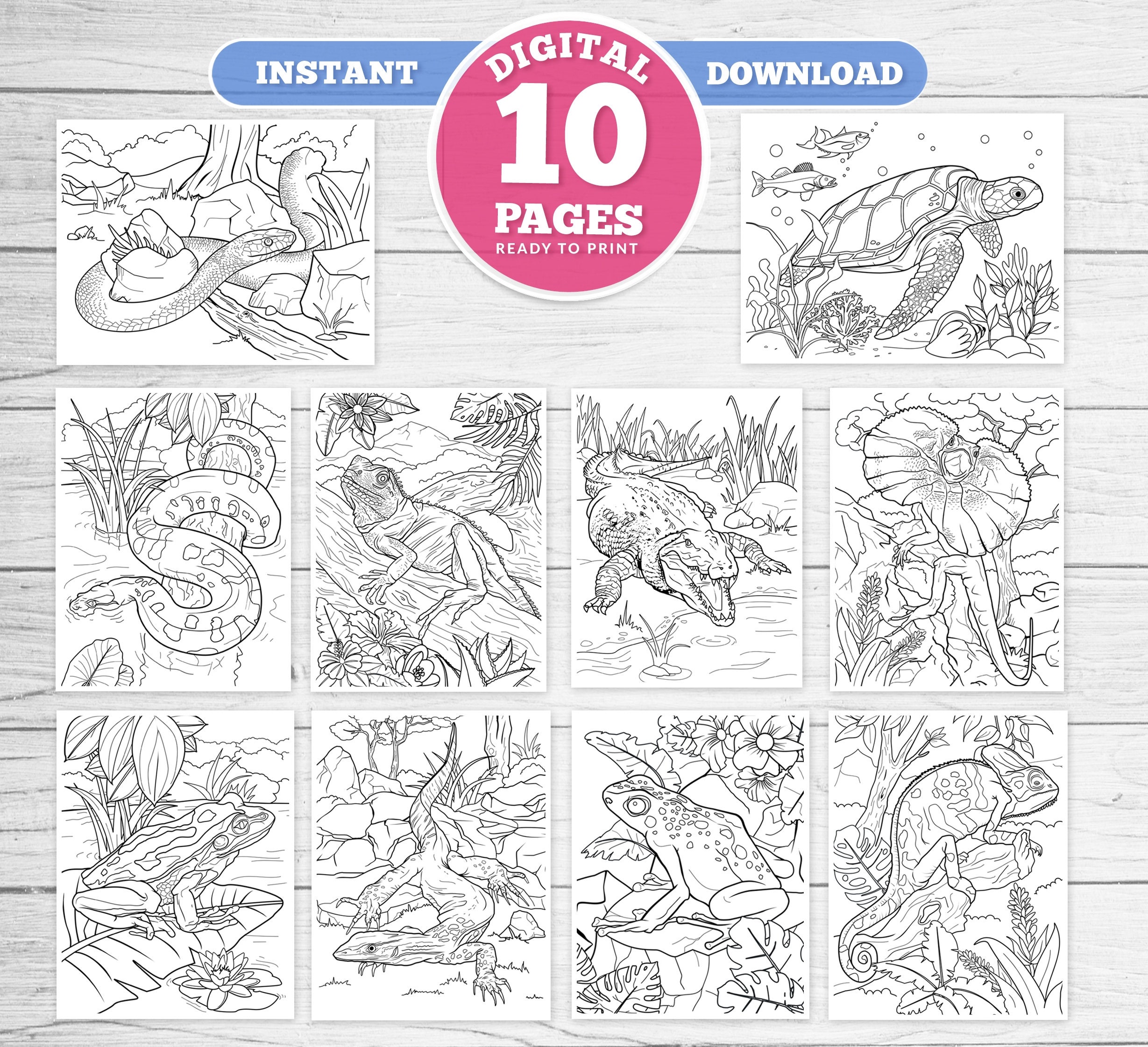 Reptiles and Amphibians Digital Coloring Pages for Kids, Lizards ...