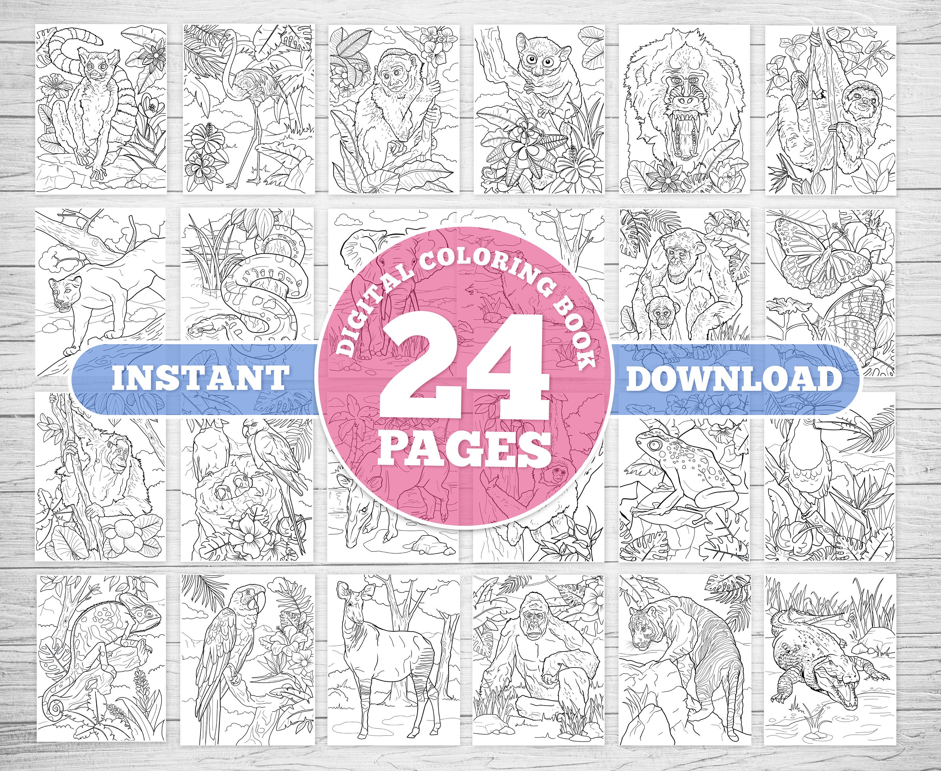 24 Printable Pages for Kids, Jungle Wild Animals, Tropical, Wildlife ...