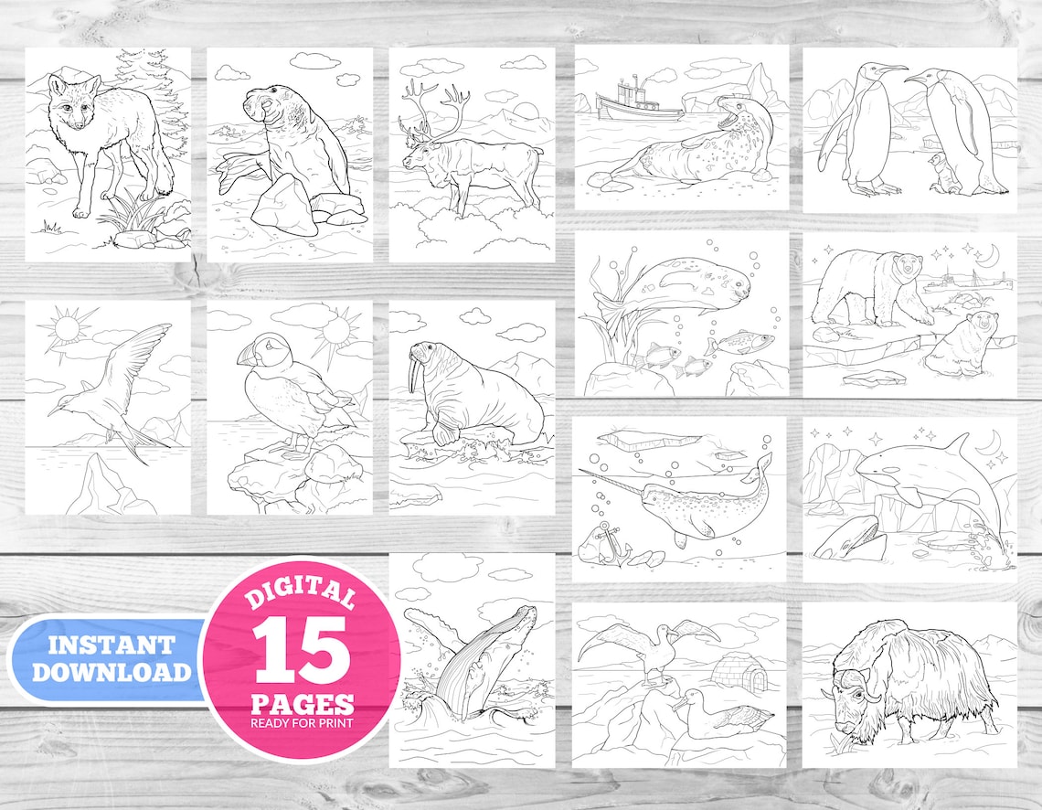 15 Digital Coloring Pages for Kids Arctic Wild Animals, Pdf, Underwater ...