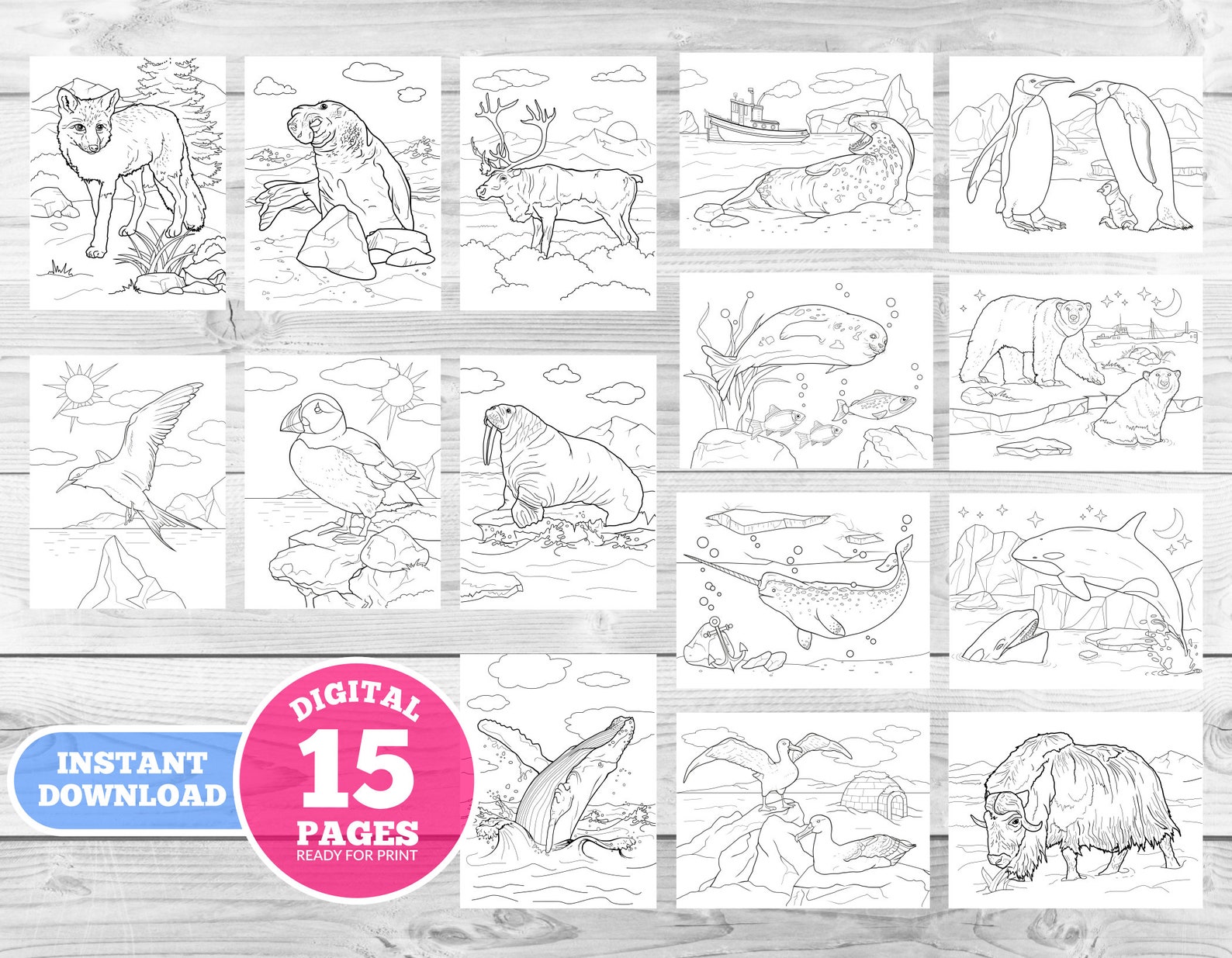 15 Digital Coloring Pages for Kids Arctic Wild Animals, Pdf, Underwater ...