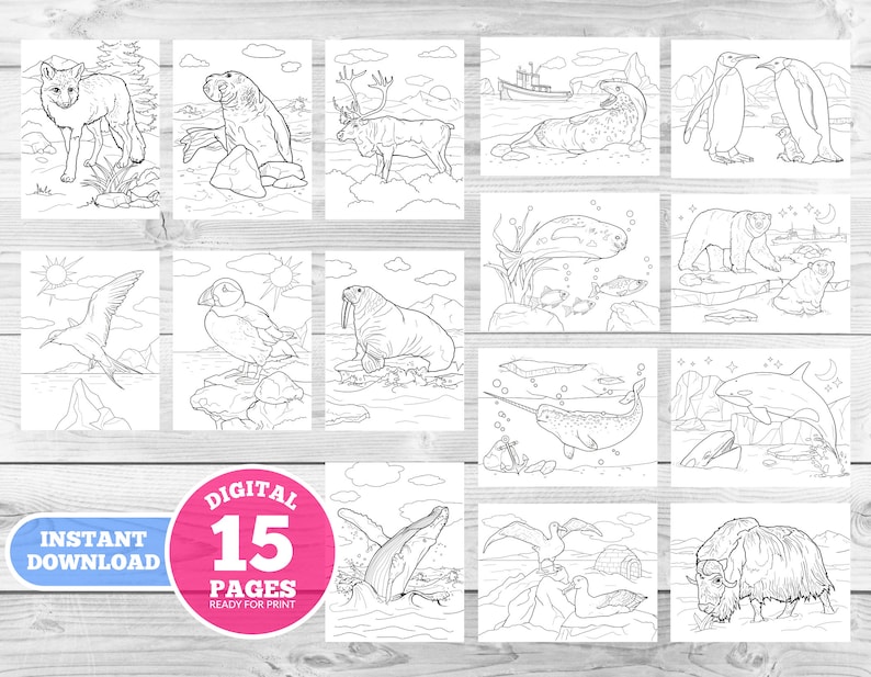 Arctic Animals Coloring Pages for Kids, Printable Ice Ocean Designs ...