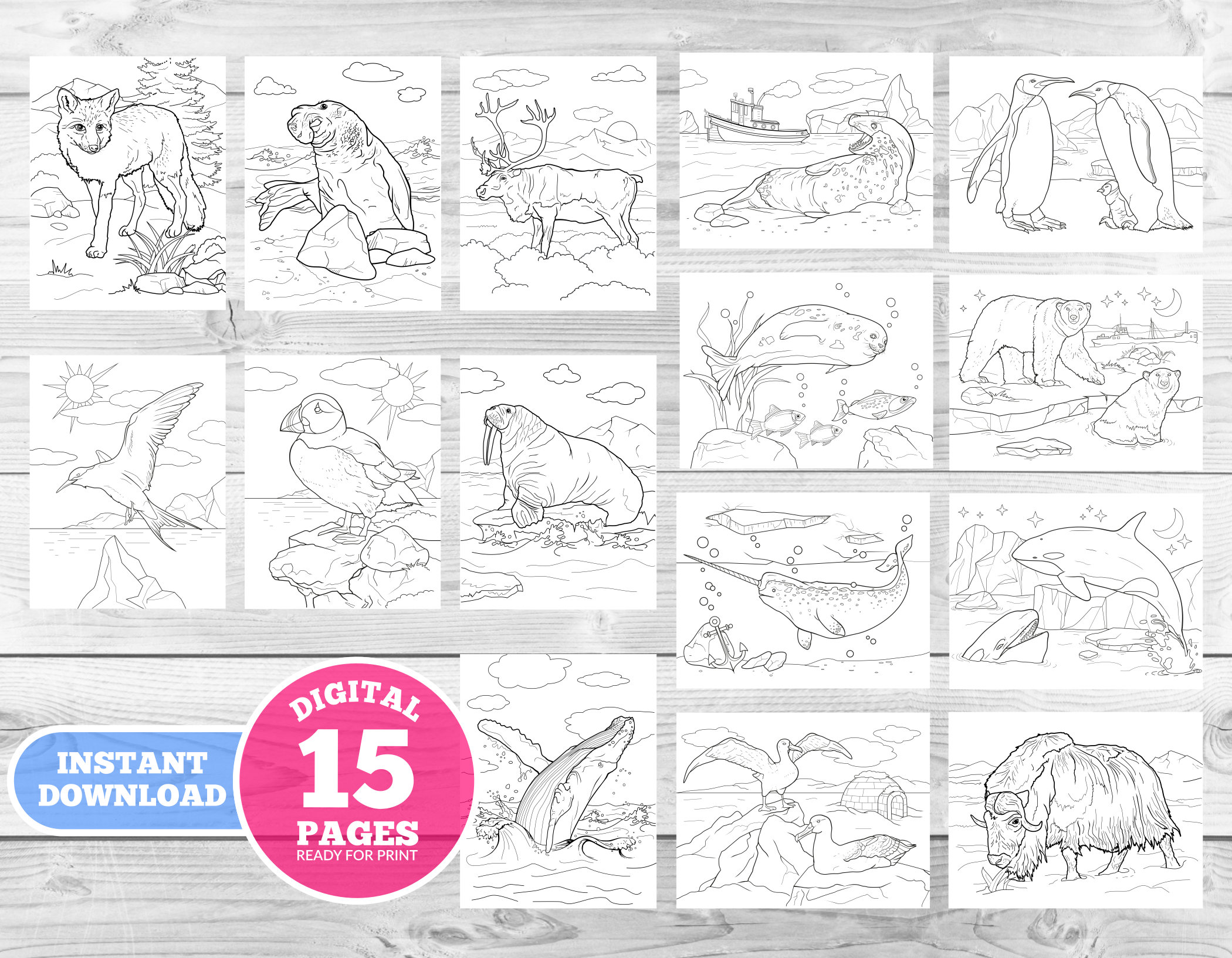 Arctic Animals Coloring Pages for Kids, Printable Ice Ocean Designs ...