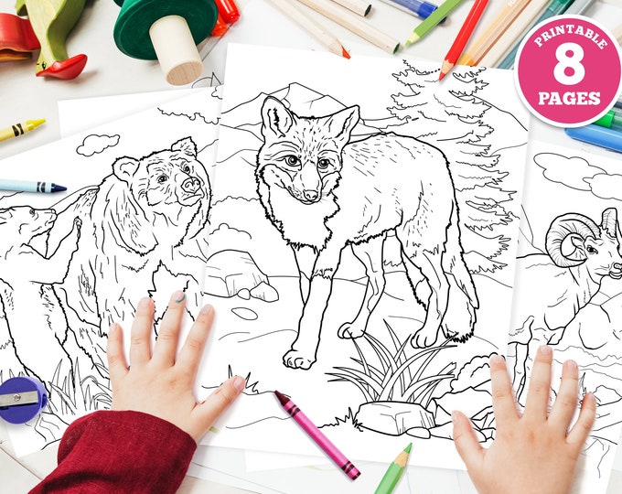 20 Childrens Coloring Pages of Animals in Nature Kids - Etsy Canada