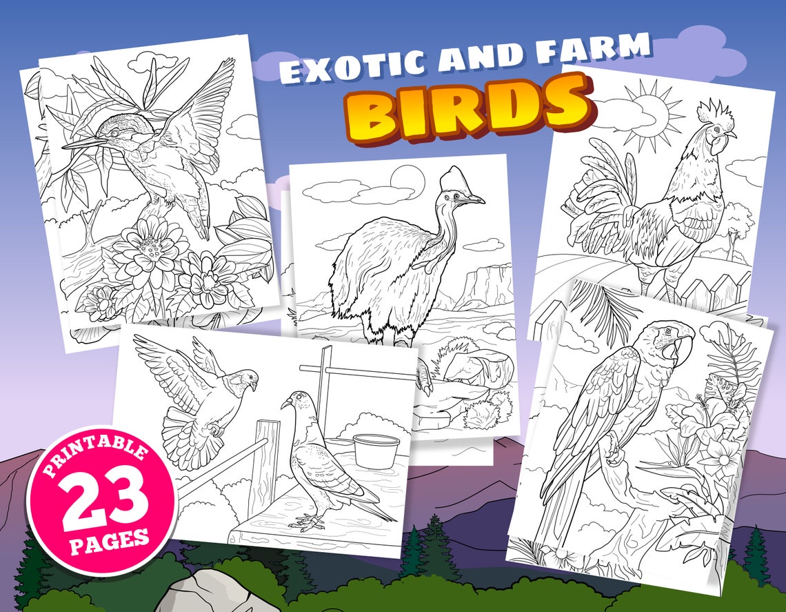 23 Digital Coloring Pages for Kids Exotic and Farm Birds, Parrots ...