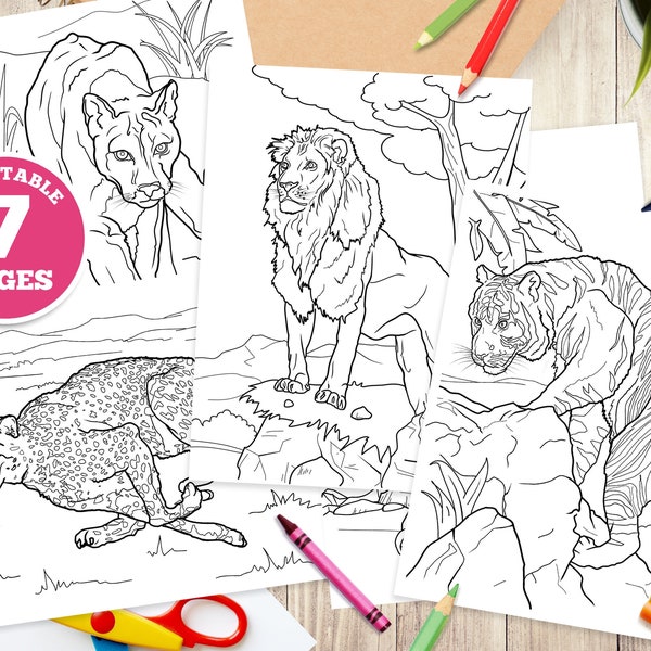 Puma Coloring Page - Etsy UK