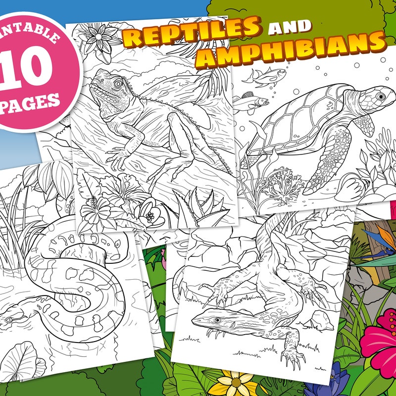 Reptile Coloring Pages - Etsy UK