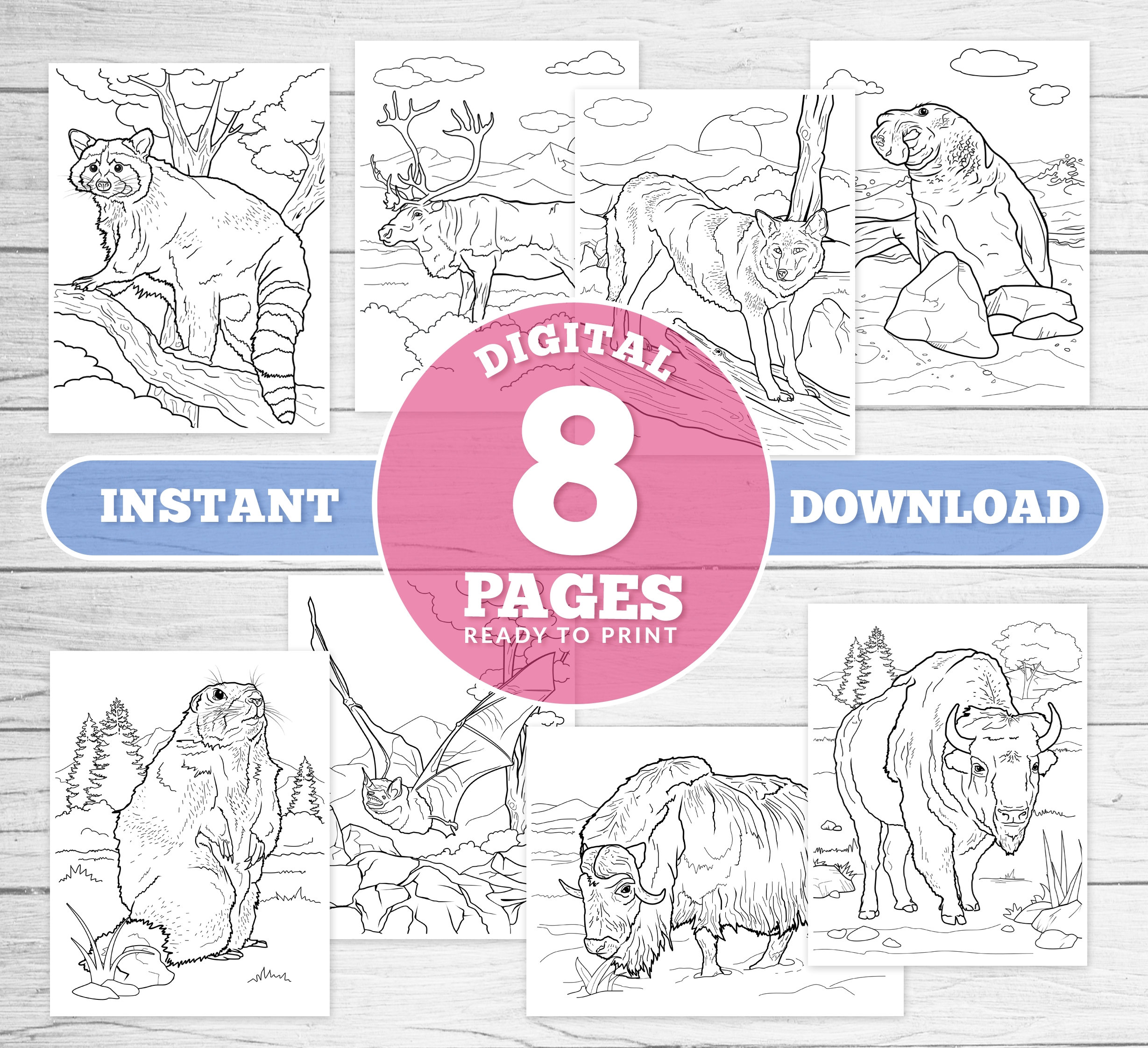 8 Pack - Printable Digital Coloring Pages for Kids. Alaska Wild Animals ...
