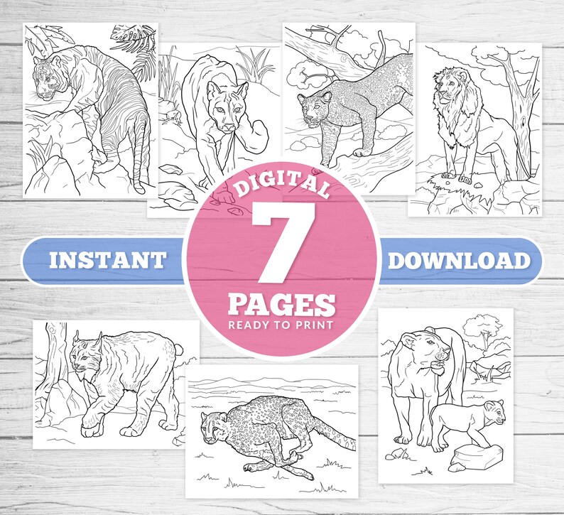7 Printable Coloring Pages for Kids, Big Cats, Unique Illustrations ...