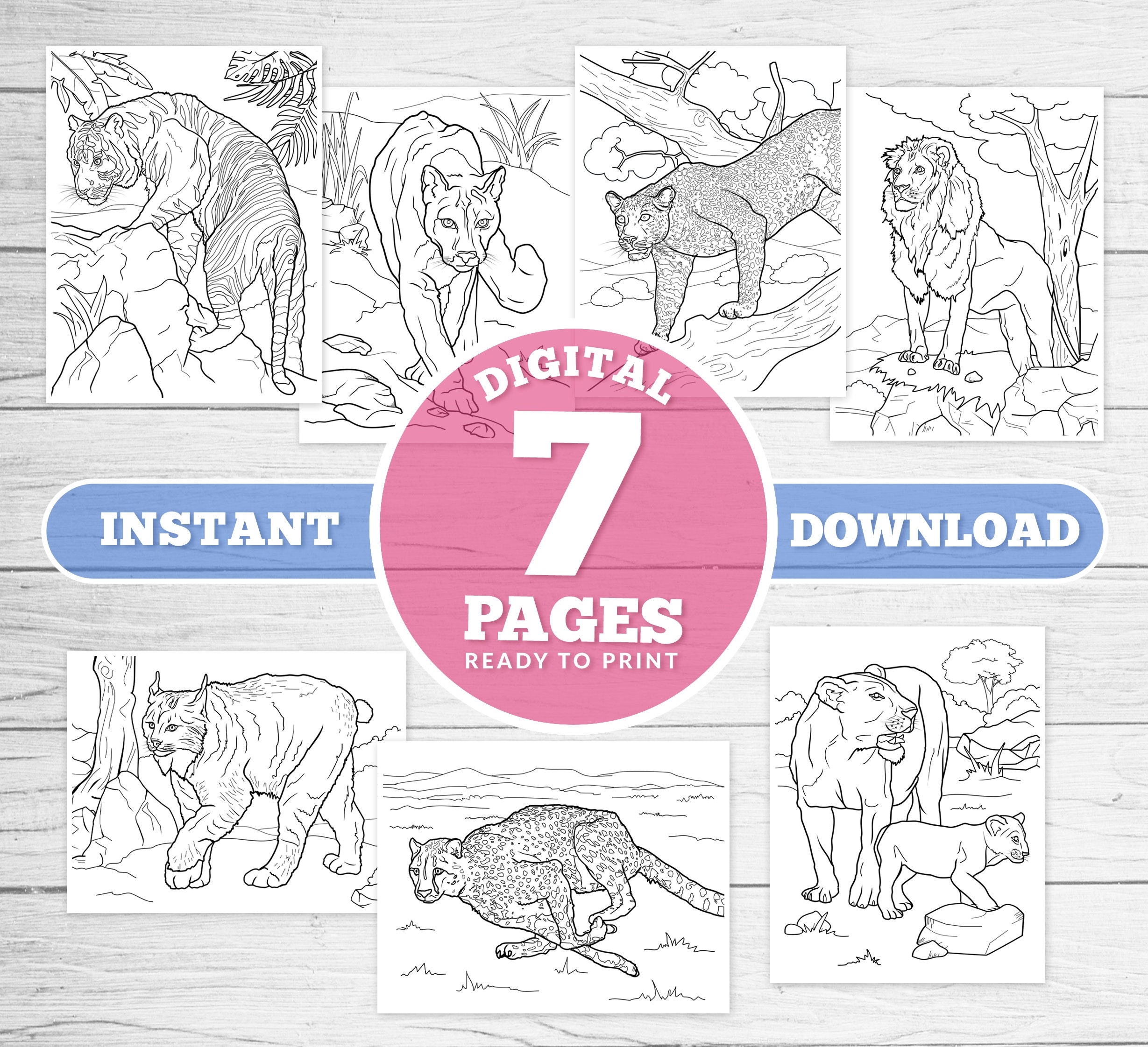 Big Cats Coloring Pages for Kids, Unique Illustrations (PDF) - Etsy ...