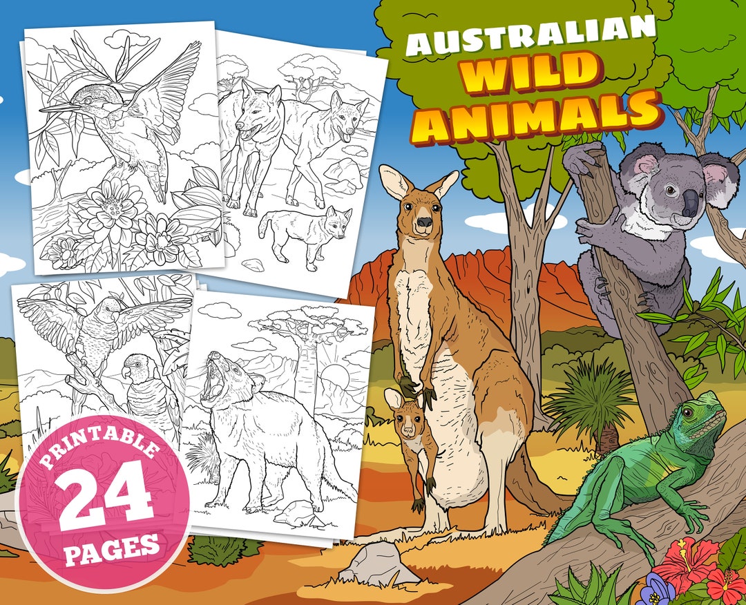 24 Printable Digital Coloring Pages for Kids. Australian Wild Animals ...