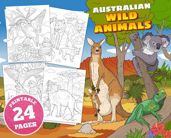 24 Printable Digital Coloring Pages for Kids. Australian Wild | Etsy