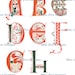 Alphabet Set - Contemporary Gothic Letters Based on the Rein Modelbook ...